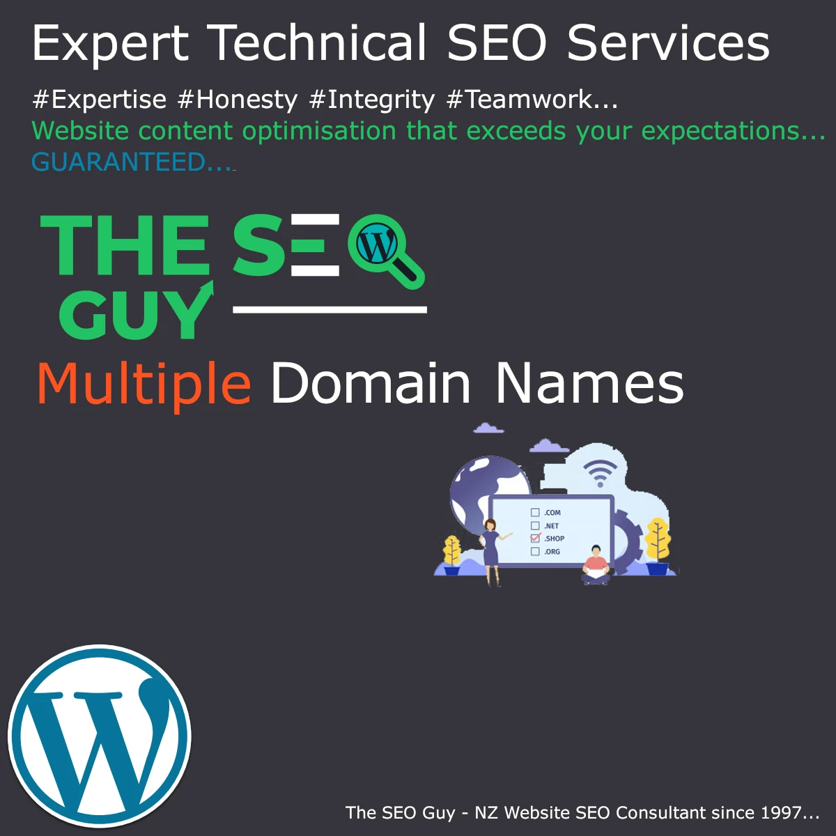 Multiple Domain Names - Content Duplication Penalties » The SEO Guy