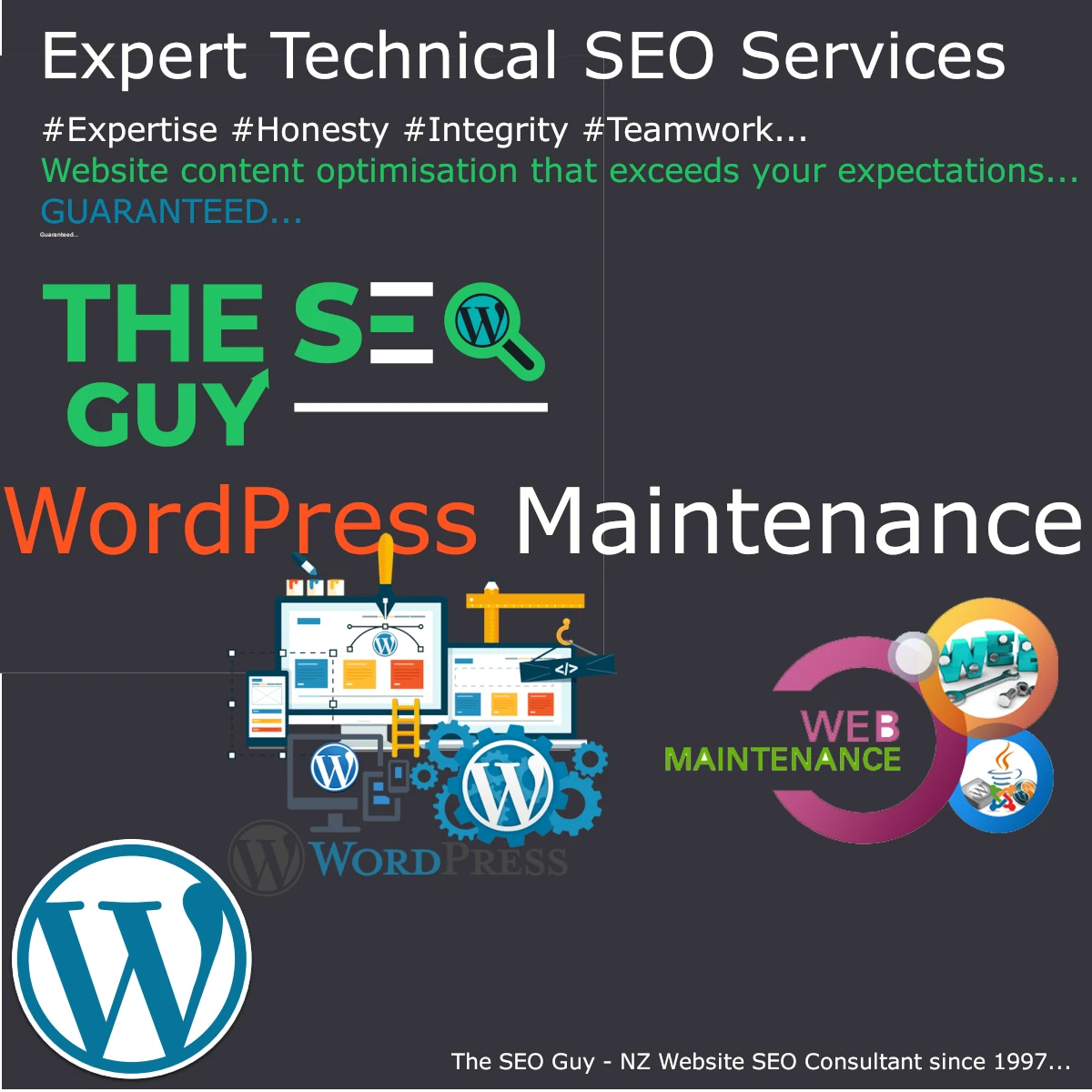 WordPress Website Maintenance Essentials » The SEO Guy
